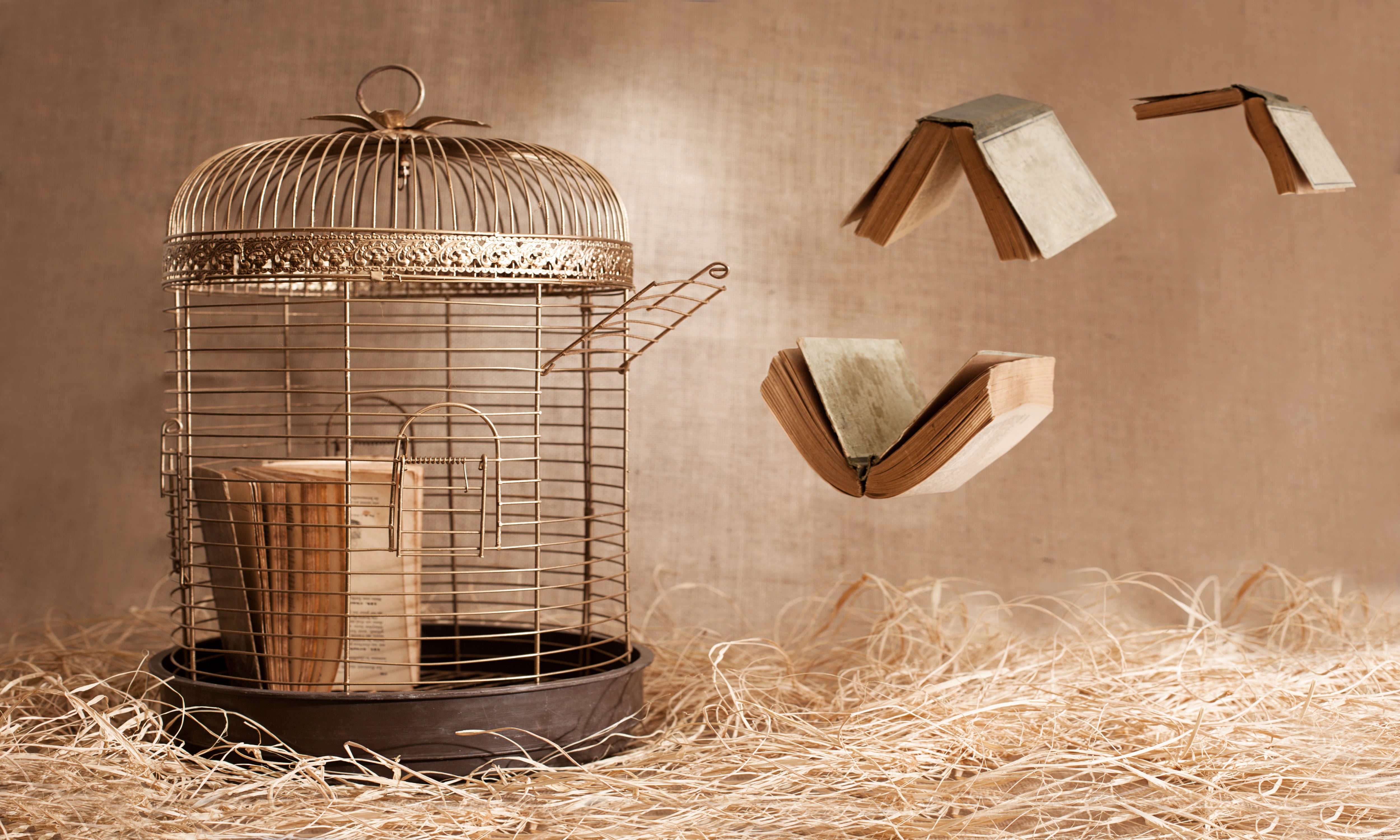 Time to Escape – B. A. Paul